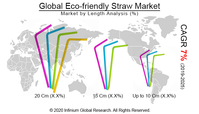 Eco-friendly Straw Market Size, Share, Trends, Analysis, Industry Re